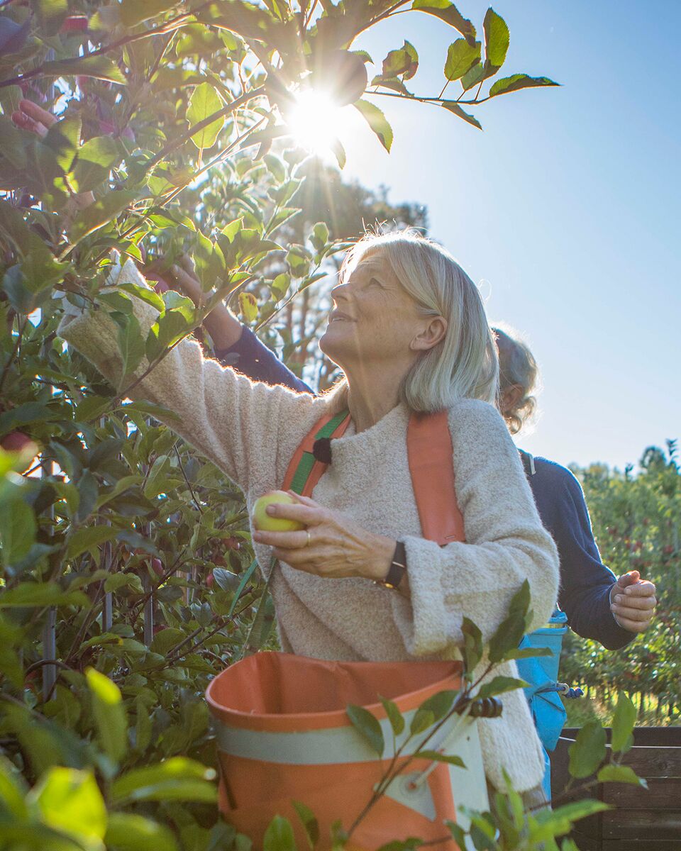 Visit Bø - Fruktbygda.no