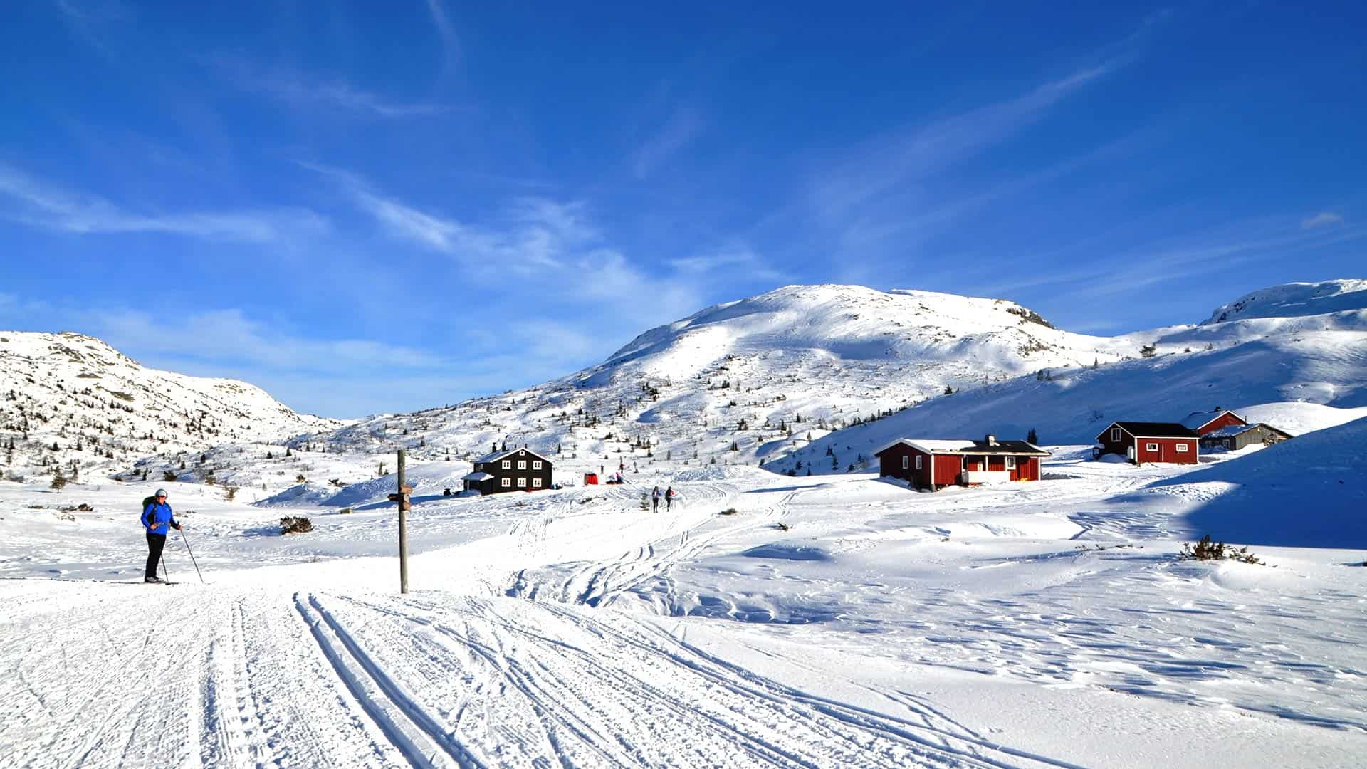 Visit Bø - Lifjell