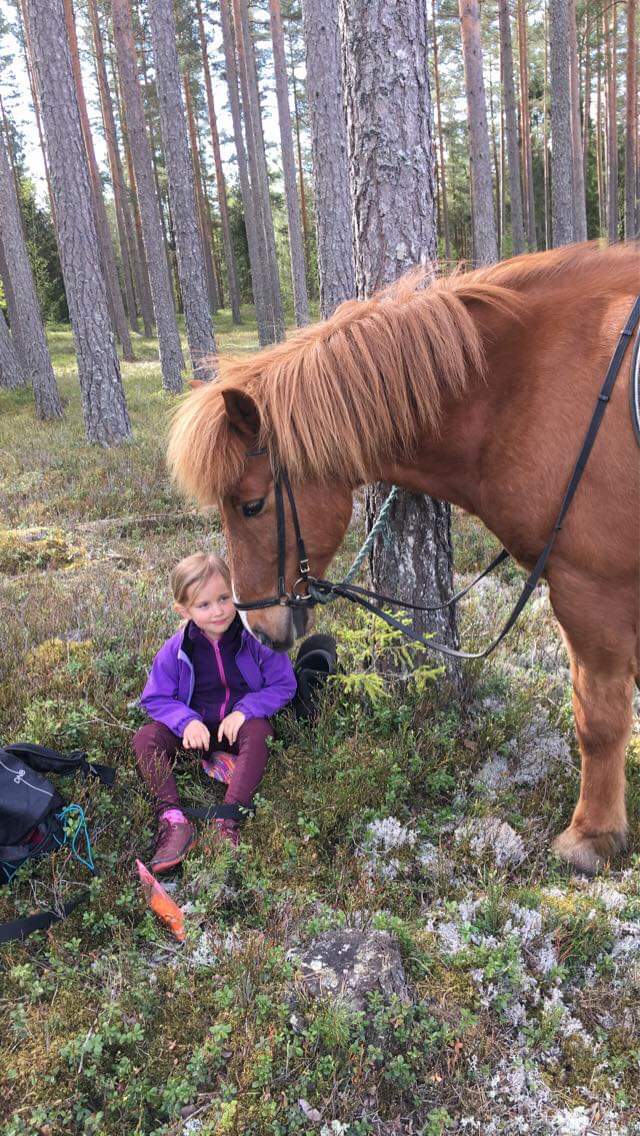 Daniel Kvammen // Kroa i Bø - Visit Bø